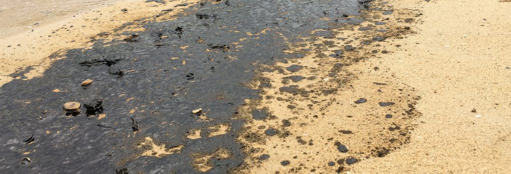 Oil Pollution of Coasts, Rivers, Lakes Beaches and Land - Gobbler Ltd